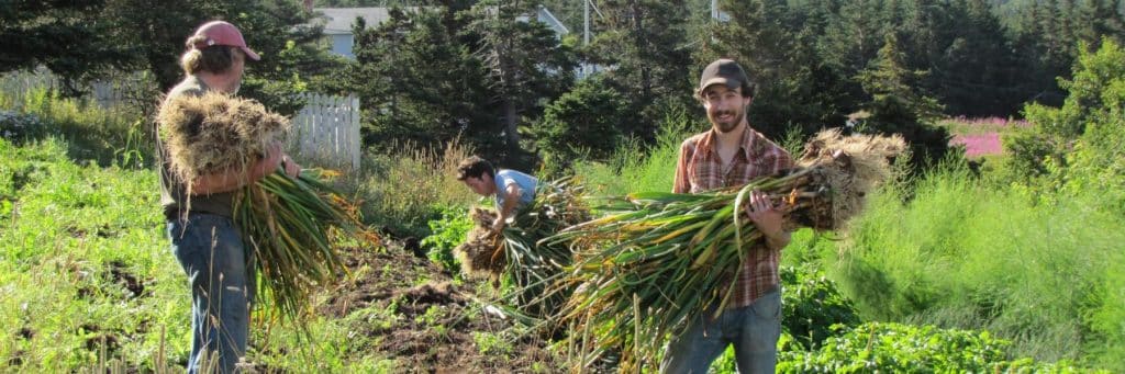 WWOOF (World Wide Opportunities On Organic Farms) 101 - Planet Organics