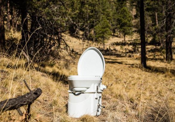 Composting Toilets 101 | Eco Toilet Systems Buying Guide
