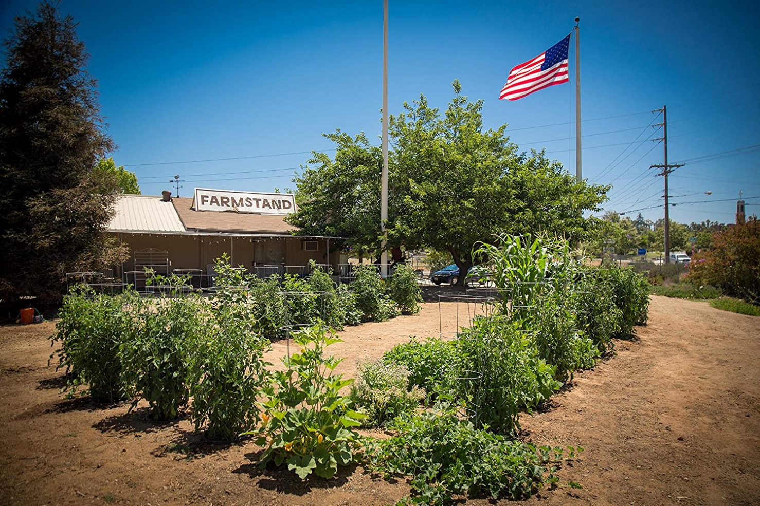 WaterRounds Plant Rings - Planet Organics