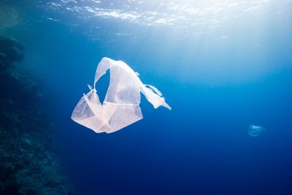 The 4 Top Rated Biodegradable Garbage Bags - Planet Organics